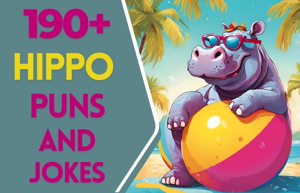 200+ Best Hippo Puns to Make You Laugh and Smile Instantly